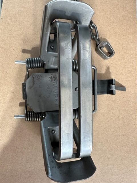 Bridger #3 Dogless Coiled spring Offset 4 coiled - Long Creek Trapping ...